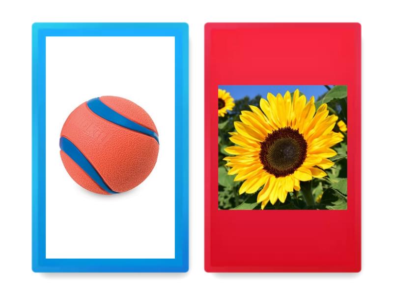 picture identification - Flip tiles