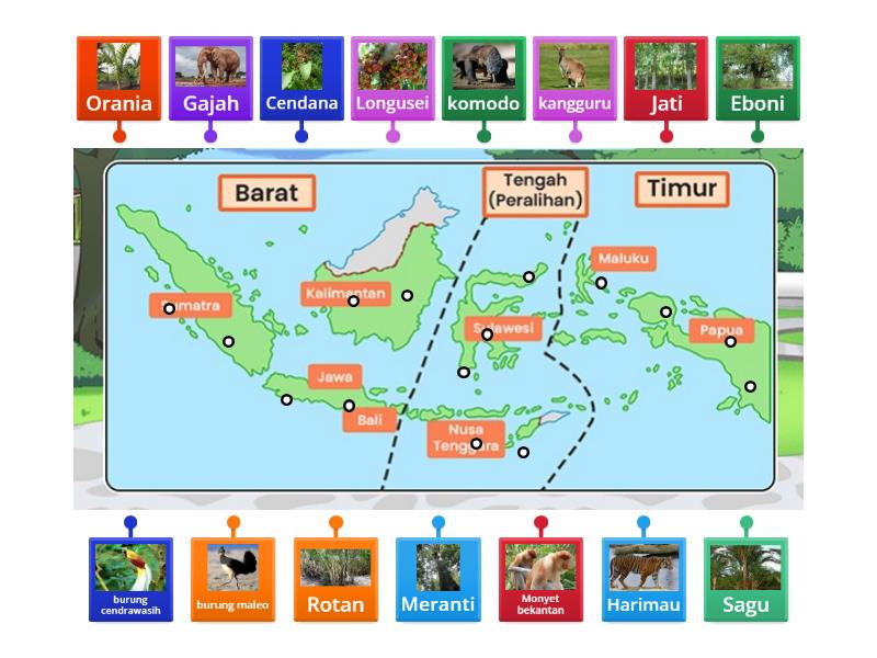Keanekaragaman Flora dan Fauna - Labelled diagram