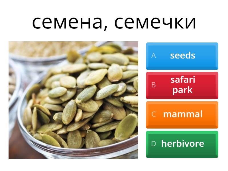 21 Power Up 2 - Unit 5 -Cross-Curricular (The animal kingdom) - Quiz