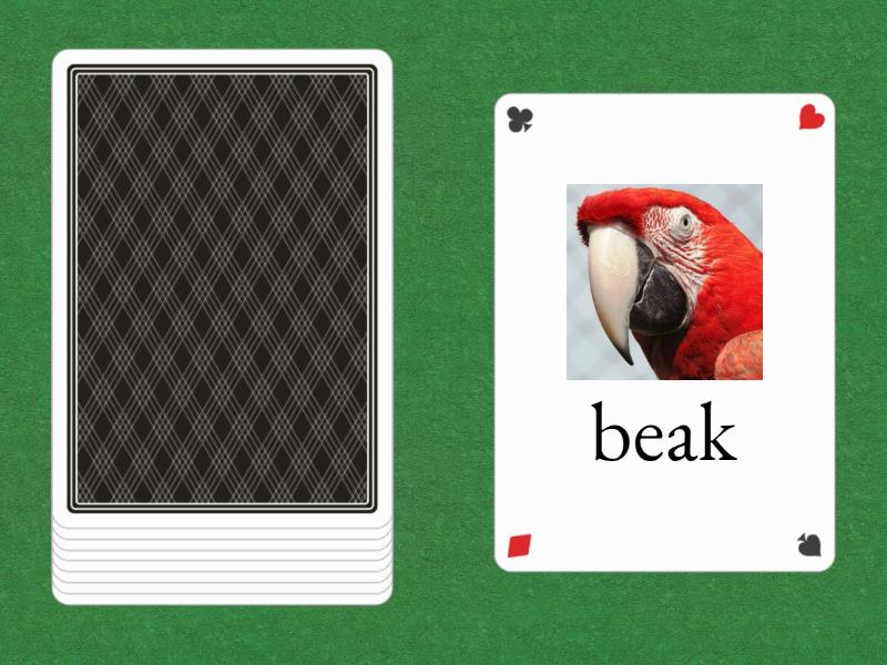 Animal body parts - Speaking cards
