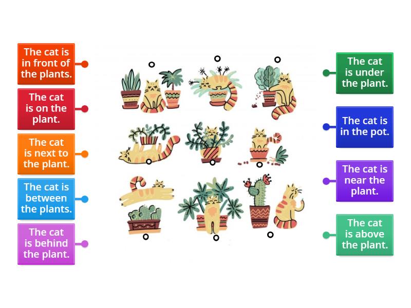Prepositions of place - Labelled diagram