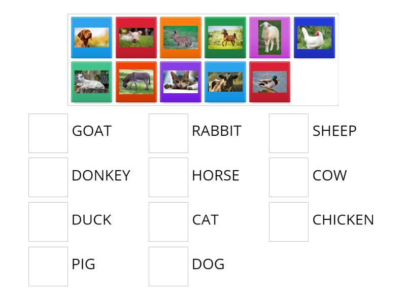 FARM ANIMALS - Match up