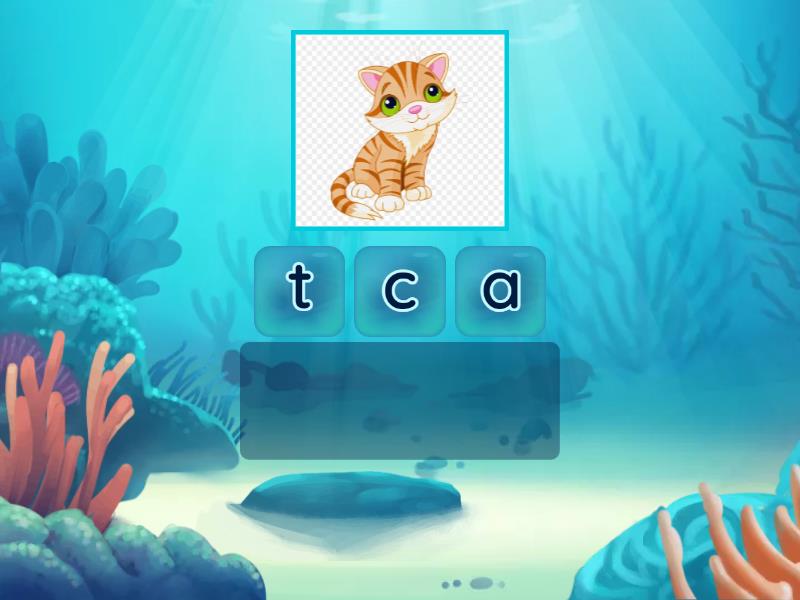 Cc - Words (Alphabet Oxford Phonics) - Anagram