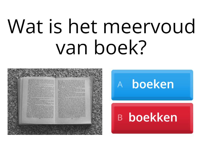 Meervoud -en - Quiz