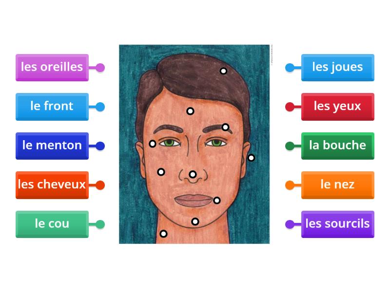 Le Visage - Labelled diagram