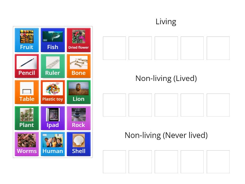Living or non-living - Group sort