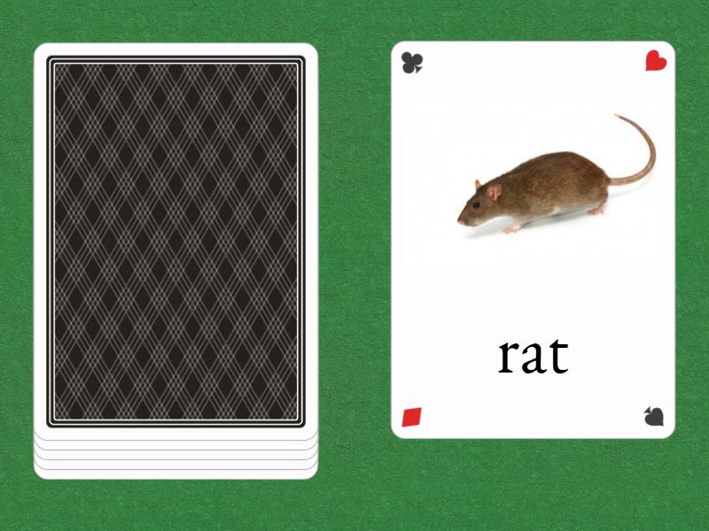 Reading. Lesson 01. cat rat bat tractor cab crab - Speaking cards