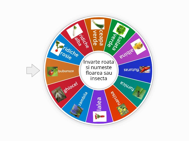 flori si insecte - Spin the wheel