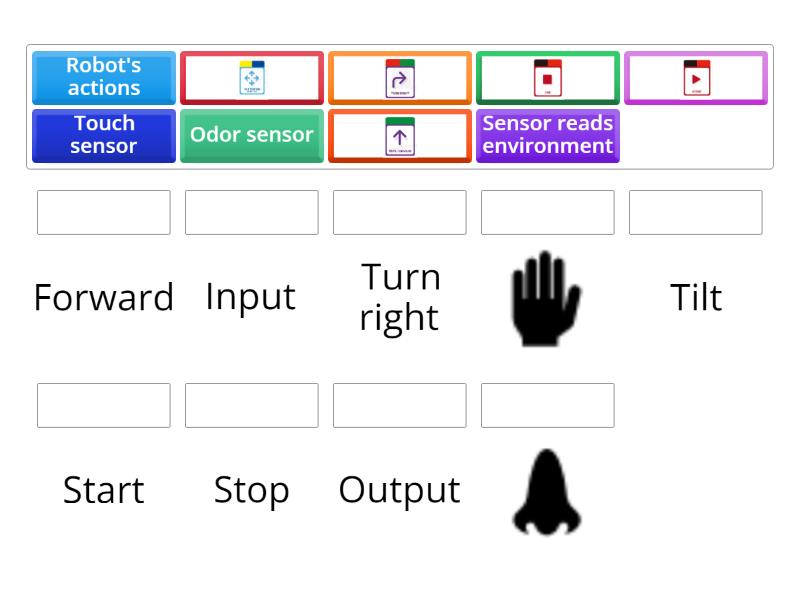 W5 - Fateen robot cards - Match up