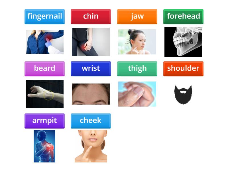 BODY PARTS - Match up