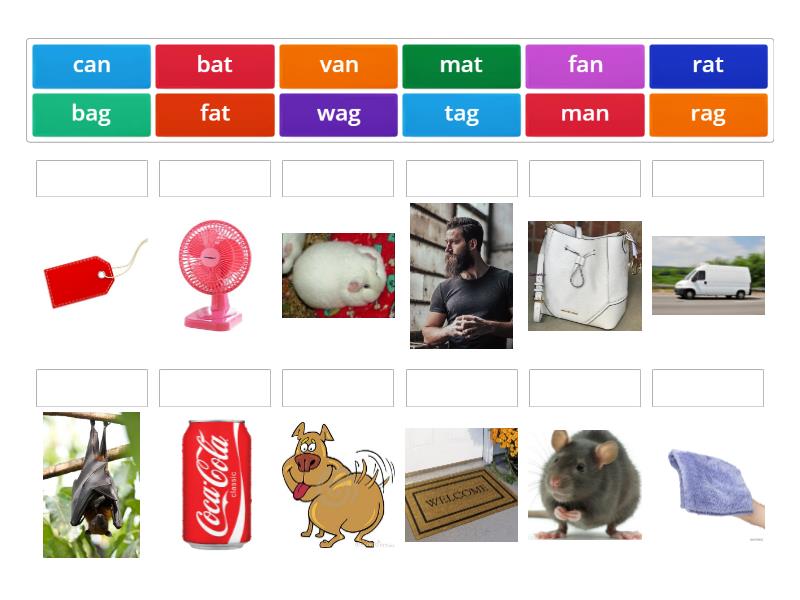 SG Unit 2 - Match up