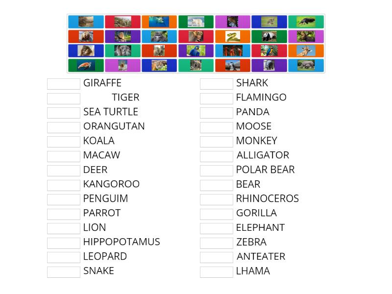 Zoo Animals - Match up