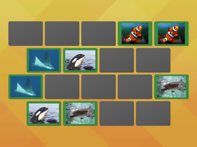 Ocen animals - Matching pairs