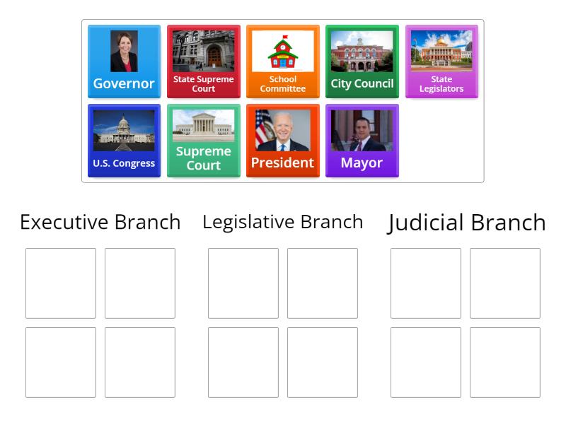 Levels & Branches of Government - Group sort