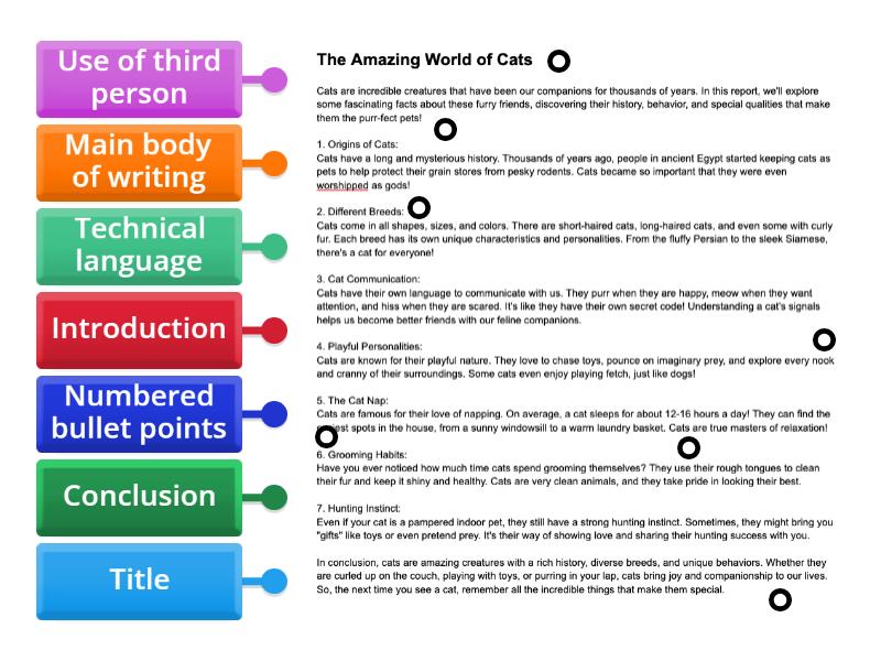 Cats- non chronological report - Labelled diagram