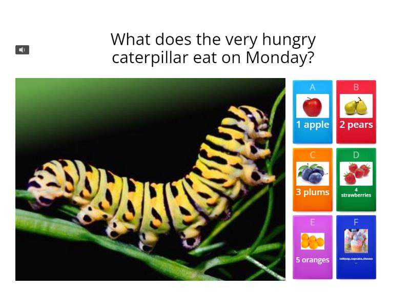 The Very Hungry Caterpillar - Quiz