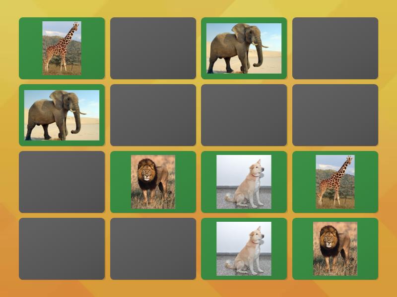 Dear zoo activity - Matching pairs