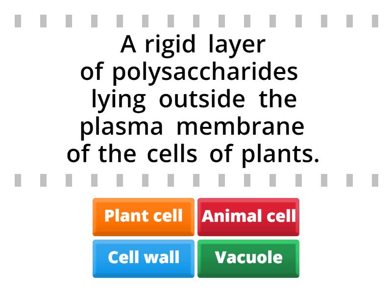 Plant and animal cells (Timed) - Cada oveja con su pareja