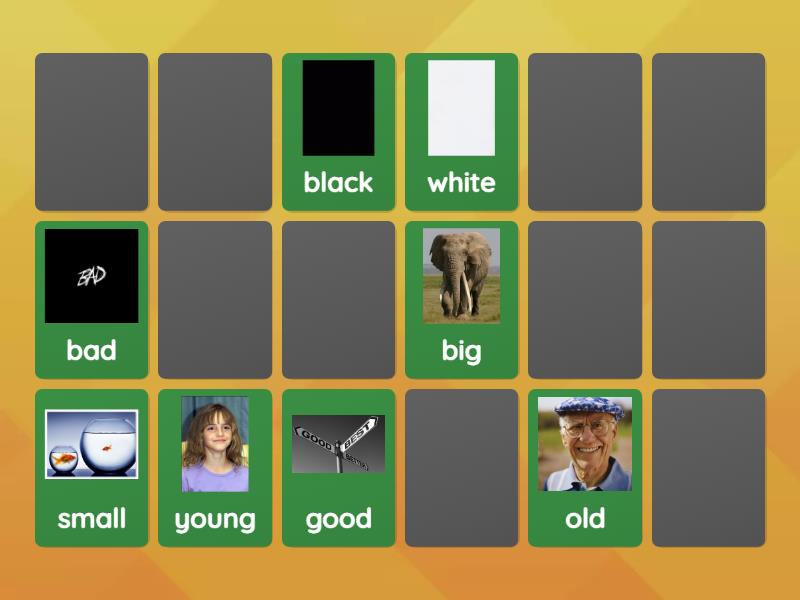 Project 1 Unit 3 - adjectives, opposites - Matching pairs