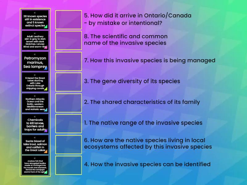 G6: Match the information to the correct success criteria - Match up