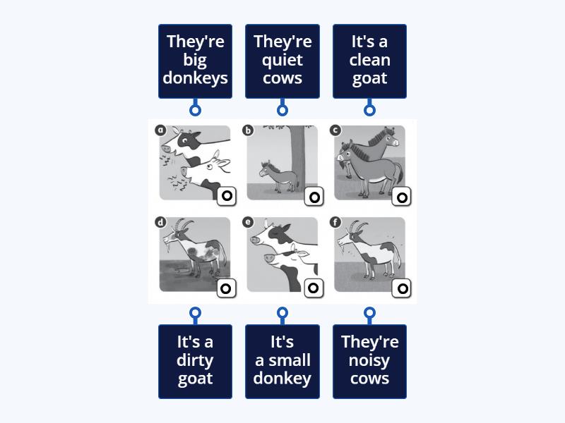 Farm animals + adjectives - Labelled diagram