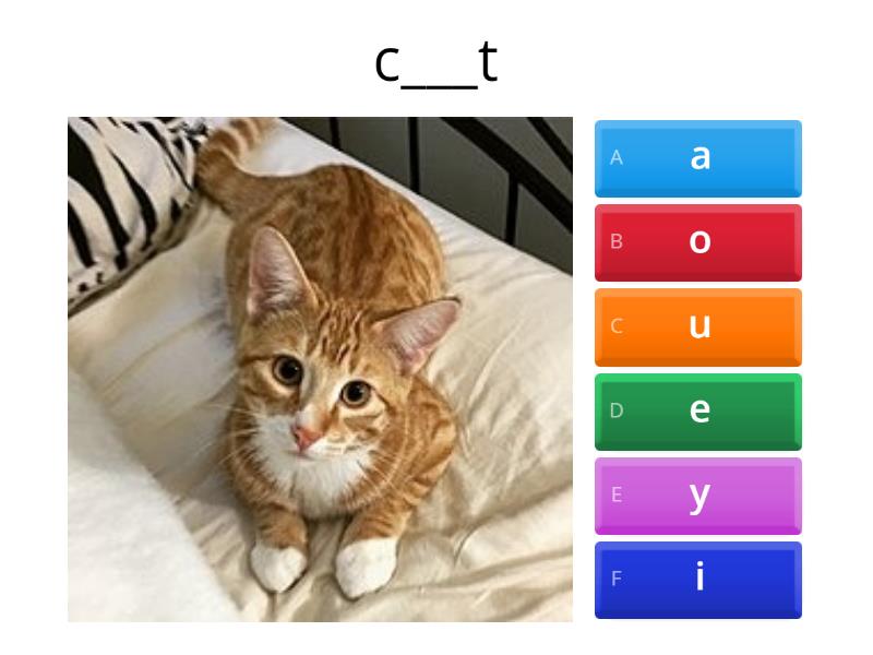 Miss letters p. 14 - Quiz