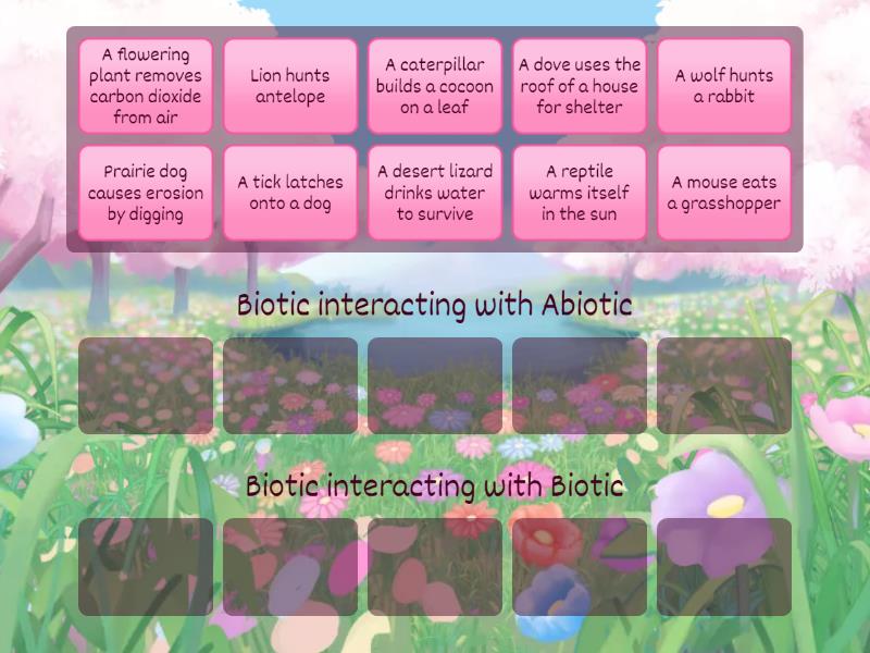 Biotic and Abiotic Interactions - Group sort