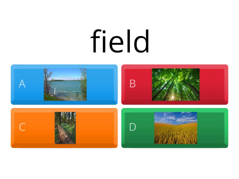 The natural world - Quiz