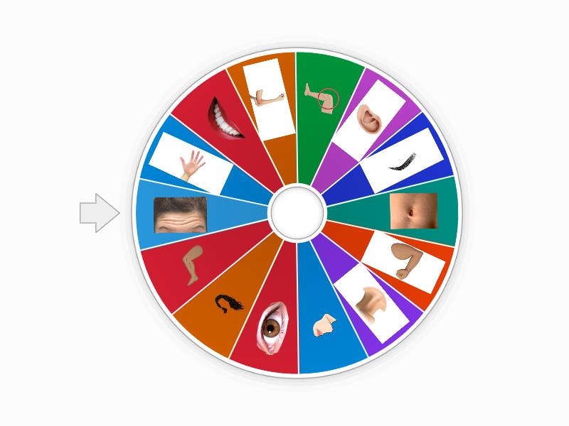 BODY PARTS - Spin the wheel