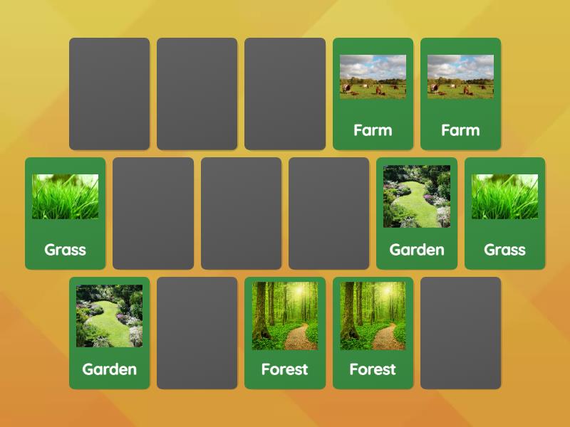 Ecosystem - Matching pairs