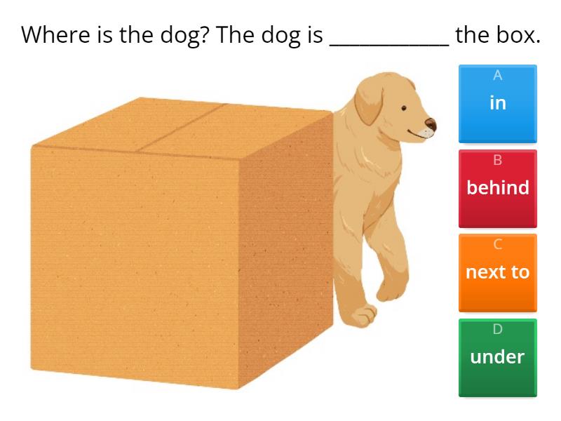 Tiger 2. Unit 1. Prepositions. - Quiz