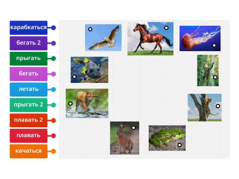 диаграмма a bird can fly - Labelled diagram
