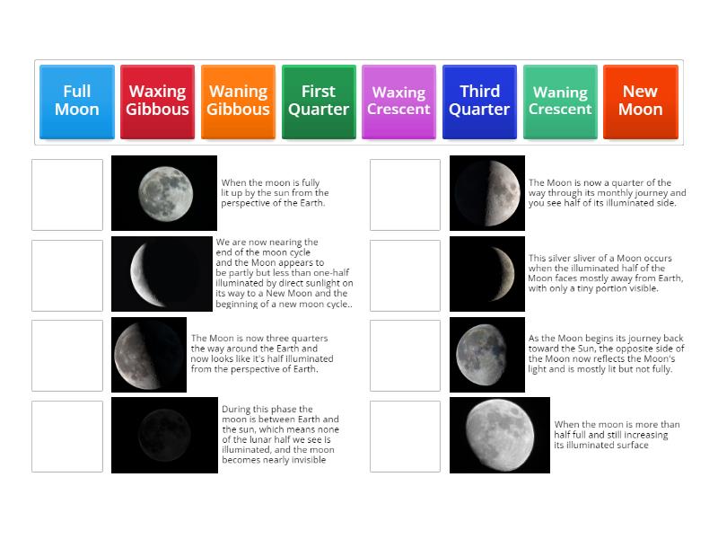 Phases of the Moon - Match up