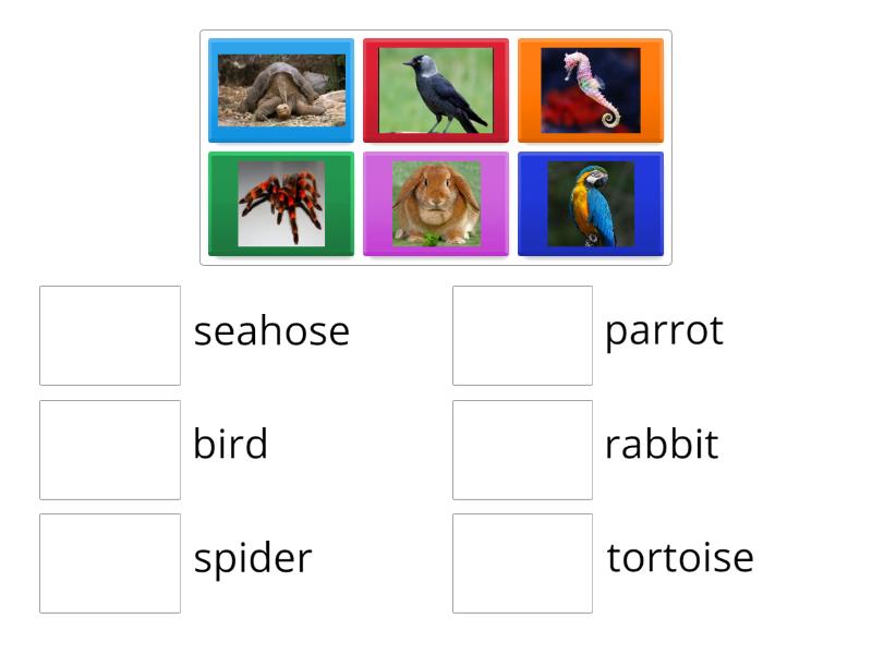 match the names with the pictures - Match up