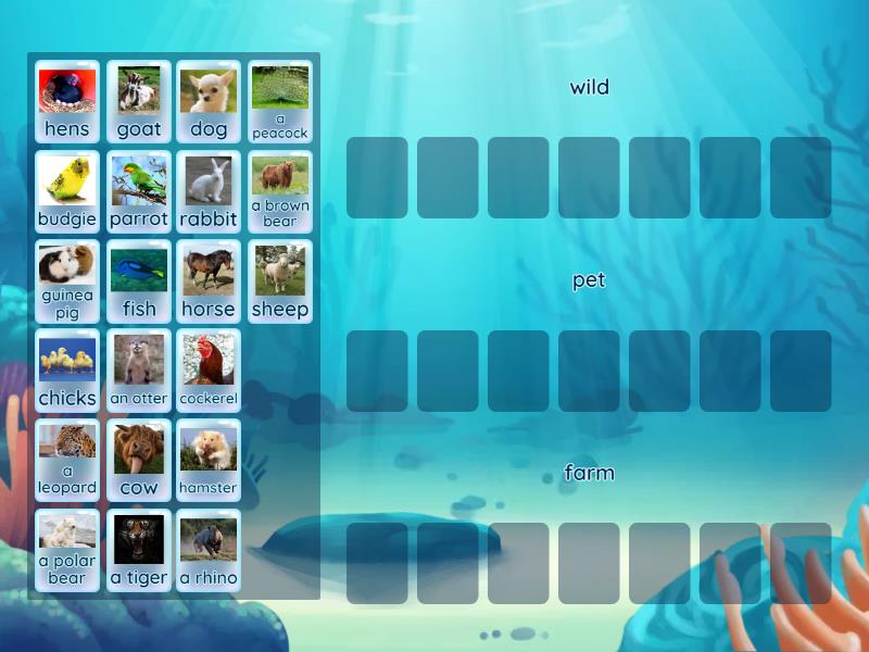 Animals sorting - Group sort