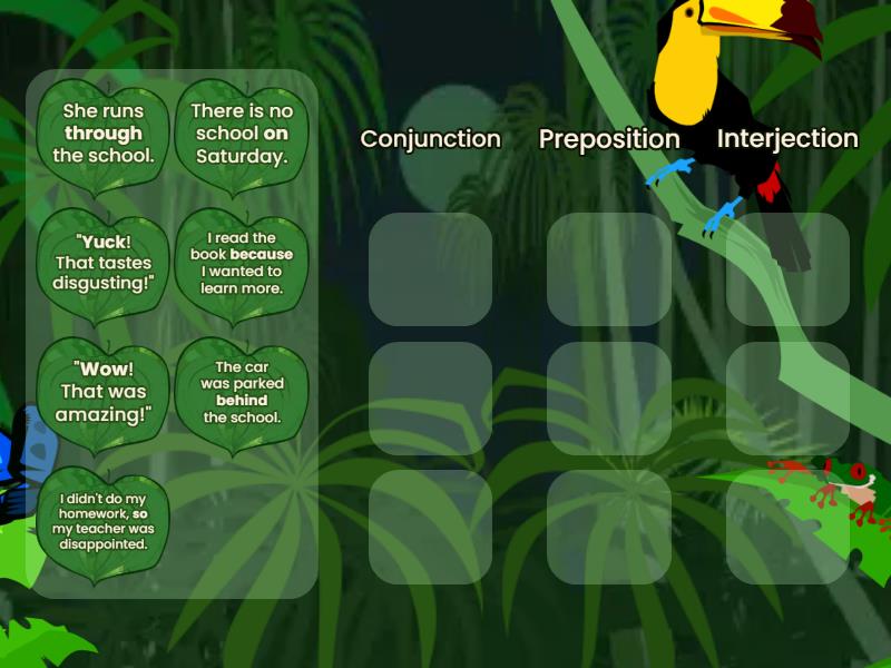 Conjunctions, Prepositions, and Interjections Sort - Group sort