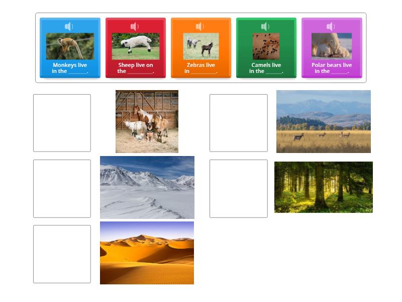 1D2 - Science - Match the animals to their habitats - Match up