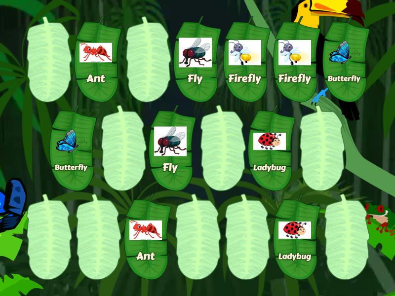 Bugs memory game - Matching pairs