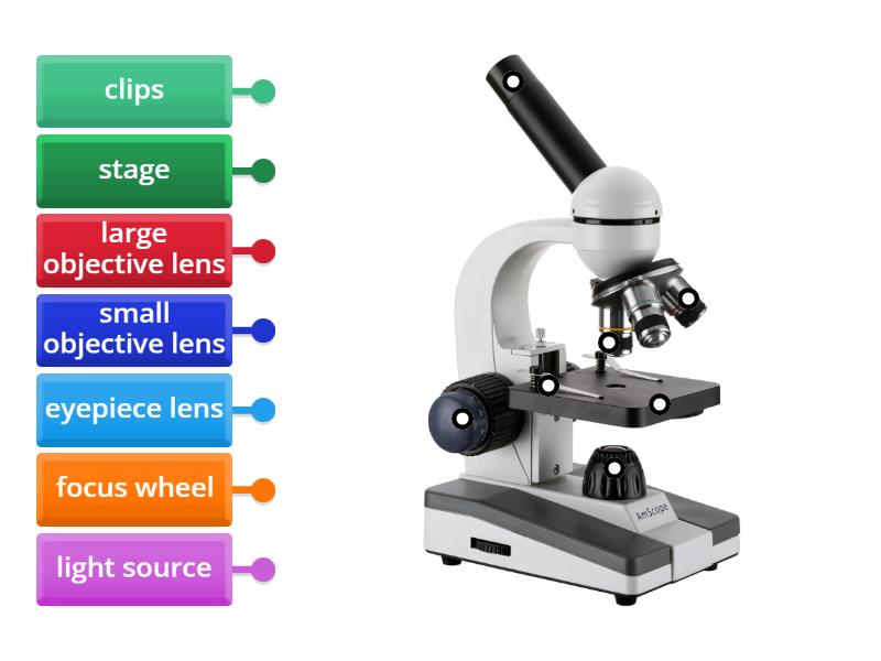 microscope - Labelled diagram