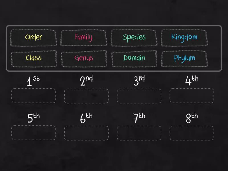 Linnaean System of Classification - Rank order