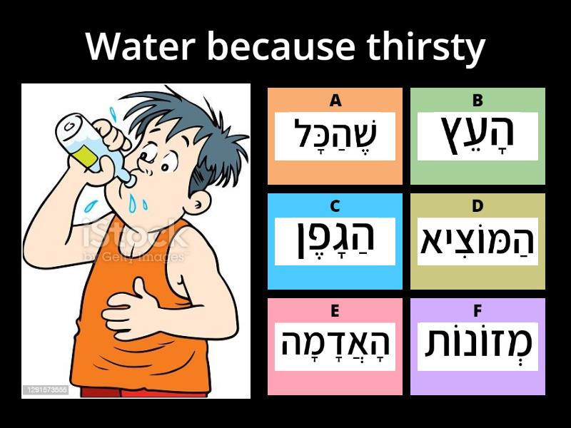 Brochos Week 28 - Quiz