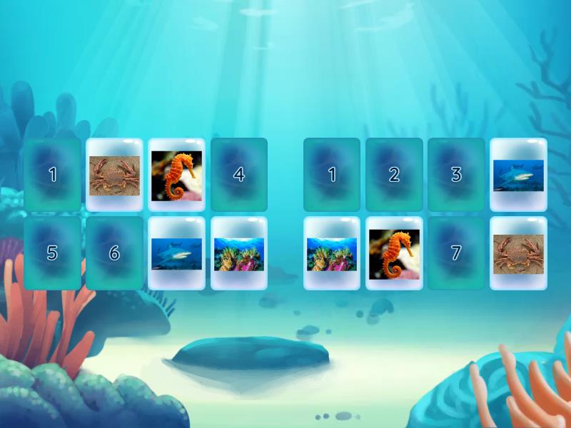 ocean animals - Matching pairs