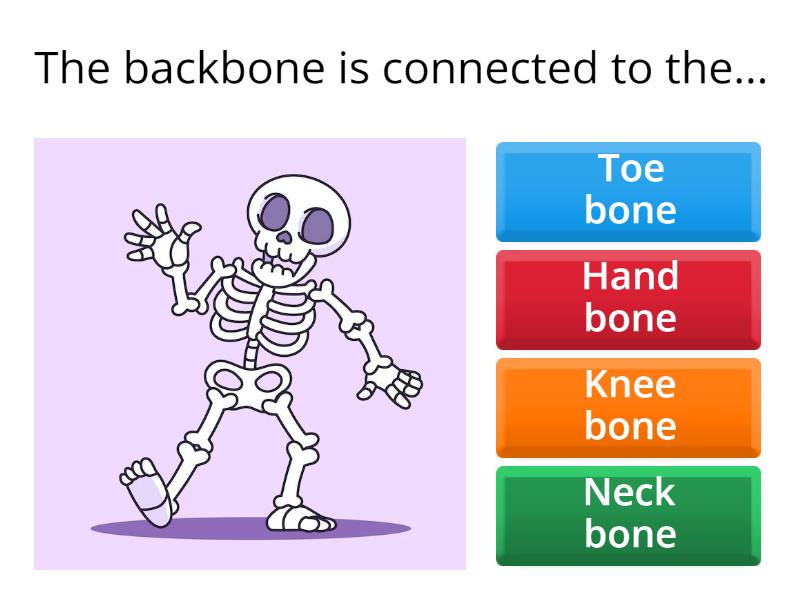 SKELETON BONES (passive) - - Quiz