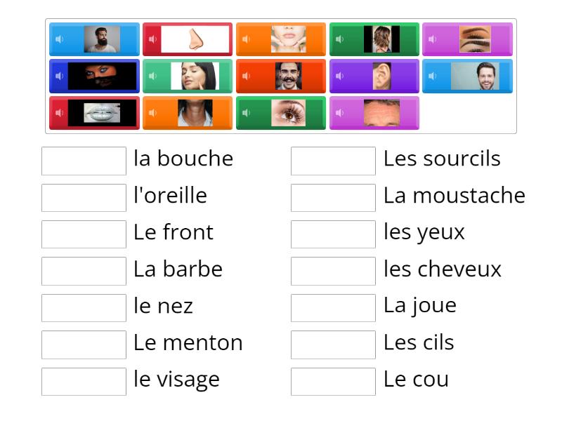 Les parties du visage avec audios - Une las parejas