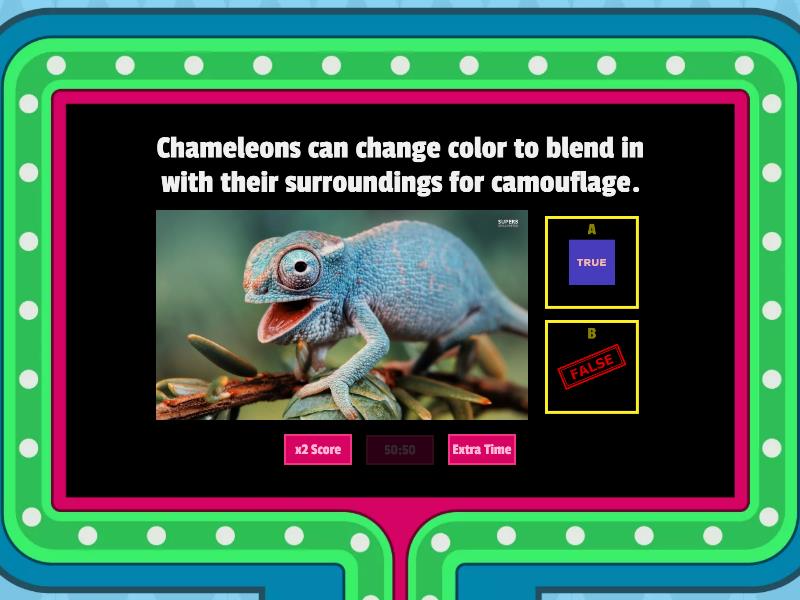 Interesting facts about chameleons - Concurso de preguntas