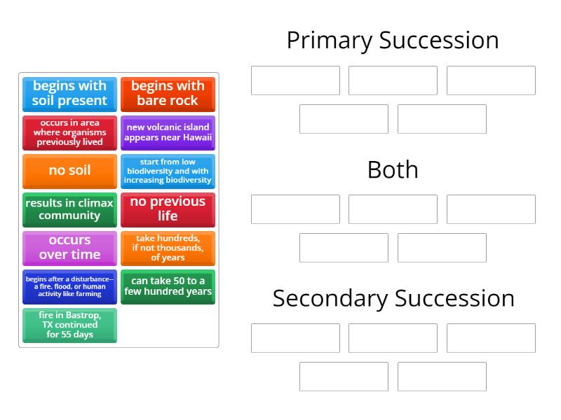 Primary vs Secondary Succession - Group sort