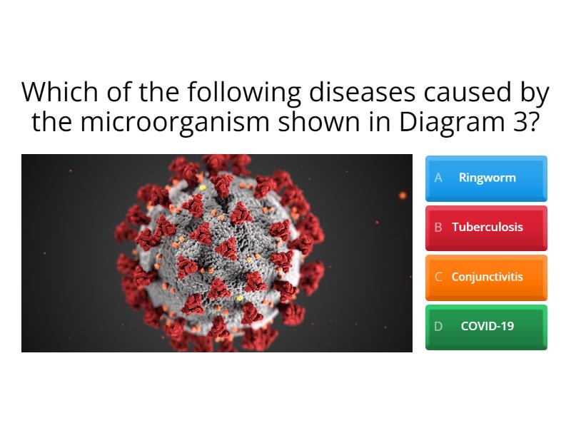 MICROORGANISMS (YEAR 6) - Quiz