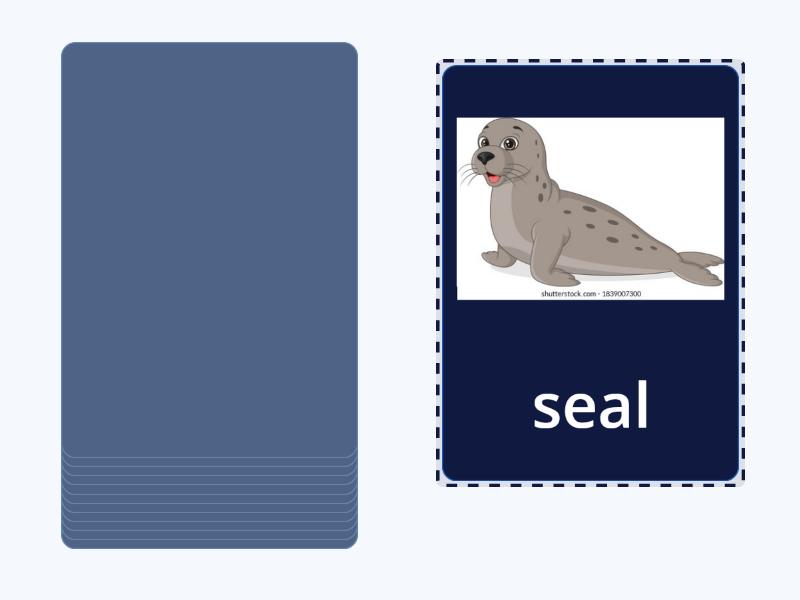 From head to toe (animals vocabulary) - Speaking cards