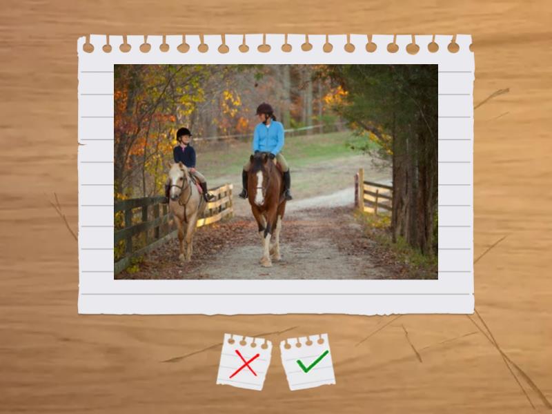 Mmd Mahdi family 1 - Flash cards