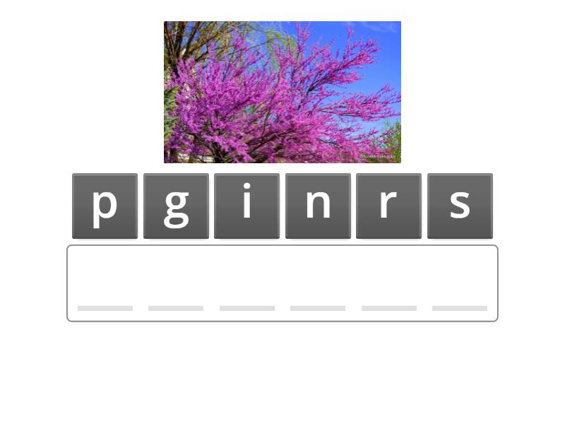 As2 unit 7 dictation - Anagram